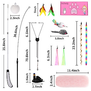 Janbenty 4-in-1 Interactive Cat Feather Toys Durable Retractable Fishing Pole Cat Toy Enhanced Suction Cup Cat Catnip Toy 14 Wand Replacement Door Hanging Cat String Toy for Bored Indoor Kitten