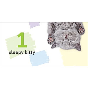 1, 2, 3, What Do You See?: A Counting Book for Toddlers