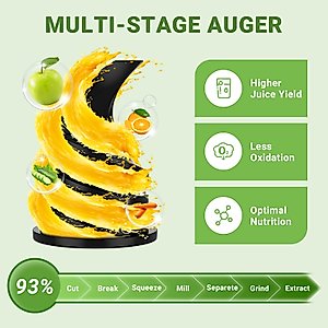 AMZCHEF Whole Fruit Juicer Machines, 80MM Large Feeding Chute Slow Masticating Juicer, Powerful Cold Press Juicers with Upgrade Auger, Double-Layer Filter, Retro Toggle Switch (Light black)