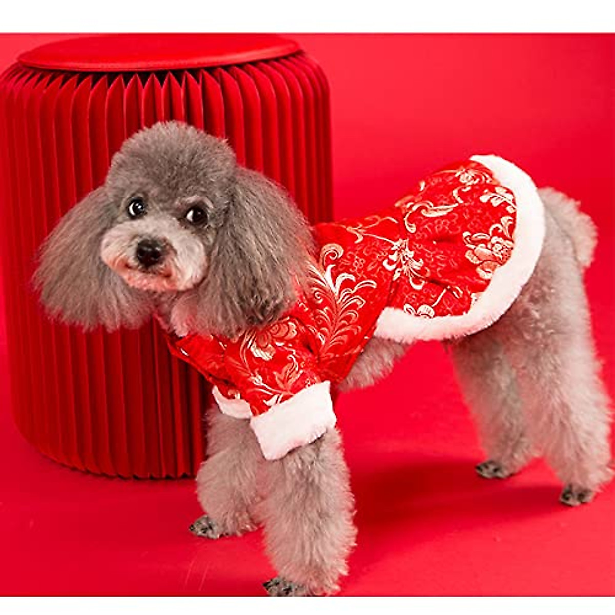 HOTUMN Chinese Dog Dresses for Small Medium Dogs Girl with Lace Bow New Year Eve Princess Dog Clothes Dog Wedding Dress Pets Winter Teddy Party Coat Spring Festival Dog Cat Costume