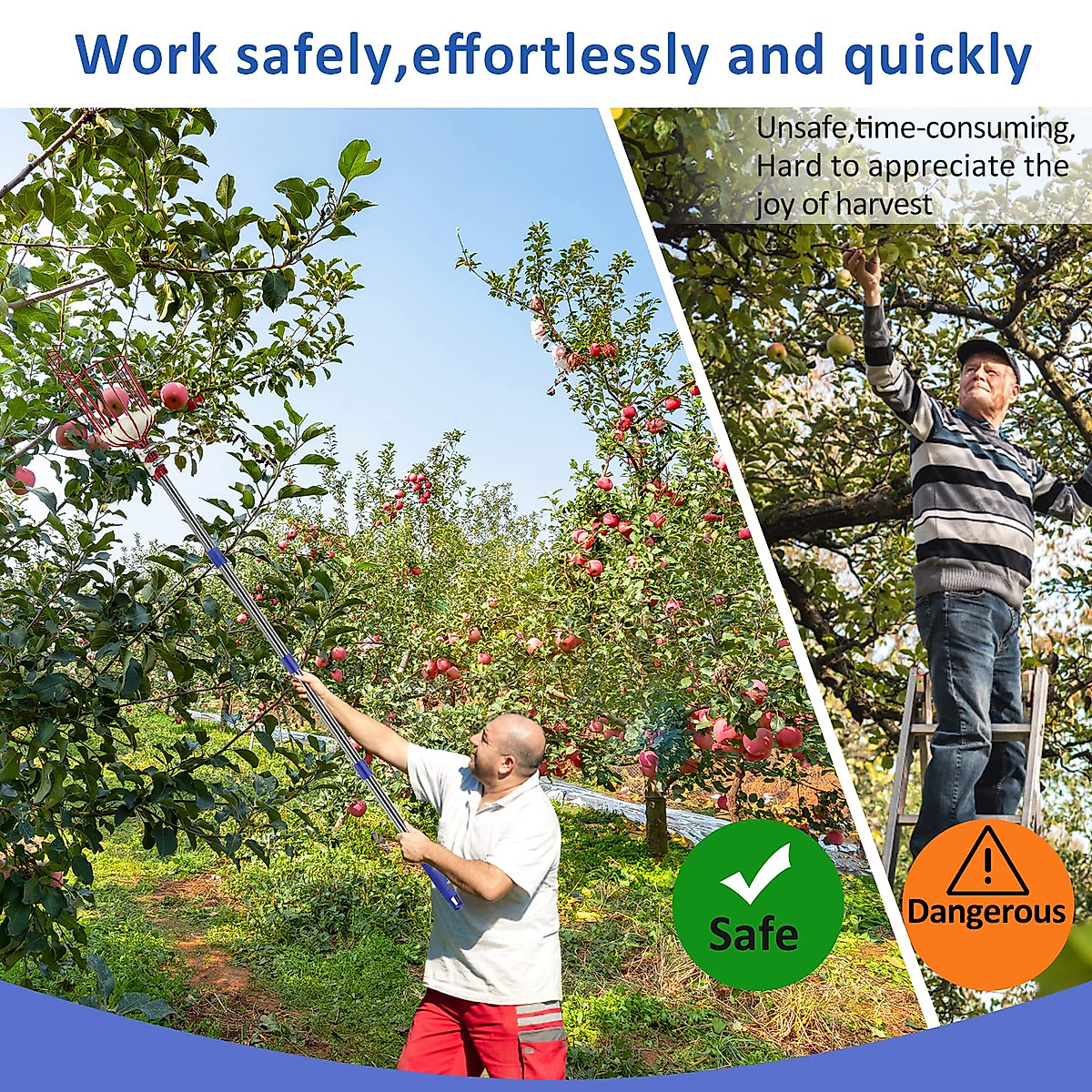13FT Fruit Picker Pole with Basket Apple Orange Picker Tool Tree Fruit Catcher with Lightweight Stainless Steel Connecting Pole, Sturdy Basket with Foam Pad, Metal Clamp