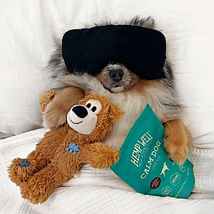 Hemp Well Calm Dog Soft Chews: Organic, Melatonin and Hemp Infused Calming Chews for Dogs with Anxiety, Separation Anxiety Relief and Stress Relief - 1 Pack Chews