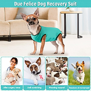 Due Felice 2 Packs Dog Surgery Recovery Suit Small Dogs Onesie for Surgery Female Male Dog Surgical Recovery Suit After Spayed Neuter Body Suit Anti-Licking Wounds Dog Cone Alternative