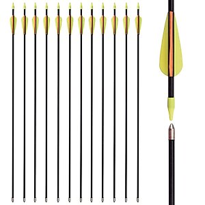 28 Inch Recurve Bow Youth Arrows Target Arrows Archery Practice Fiberglass Arrows for Beginners Kids Women Outdoor (Pack of 12)
