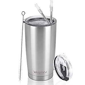 Waipfaru 20 oz Tumbler, Insulated Tumblers with Lid and Straw, Double Wall Durable Travel Coffee Mug, Stainless Steel Vacuum Tumbler, Splash-Proof Powder Coated mug for Cold & Hot Drinks (Stainless)