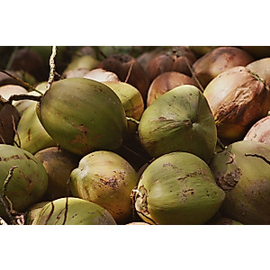 Real Coco Original Coconut Water 500mL, 100% USDA Organic Coconut Water, Packed with Electrolytes, Dairy/Soy Free, Vegan, Plant Based (12-pack, 500L)