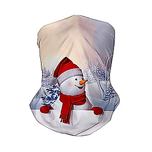 PENATE 2pc Christmas 3D Printing Multi-Functional Face Bandanas Magic Face Scarf Facemasks for Men and Women Ship from U.S.