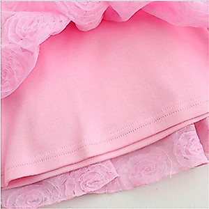 Niyage Baby Girls Clothes Dress Headband Shoes 3 Pcs Set Flowers Party Outfit Floral Dress-Pink 0-3 Months