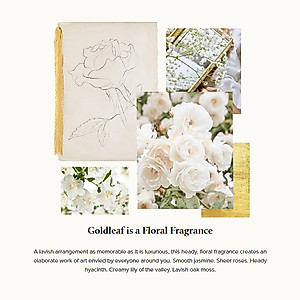 Thymes Moisturizing Hand Wash Soap with Pump - Luxury Hand Soap Gently Cleanses & Moisturizes - Skin Care with Glycerin & Jojoba - Heady, Floral Fragrance (Goldleaf, 8.25 oz)