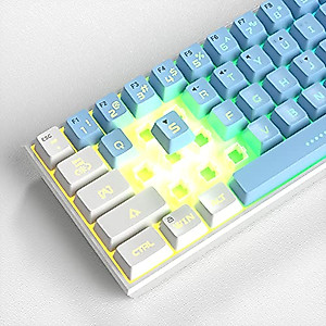 MageGee Mini 60% Gaming Keyboard, RGB Backlit 61 Key Ultra-Compact Keyboard, TS91 Ergonomic Waterproof Mechanical Feeling Office Computer Keyboard for PC, MAC, PS4, Xbox ONE Gamer(White Blue)…