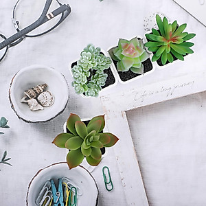 COCOBOO Artificial Succulents in Pots 4pcs Succulents Plants Artificial, Fake Succulents Small Potted Fake Plants for Desk Shelves Living Room Bedroom Kitchen Office Windowsills Decoration