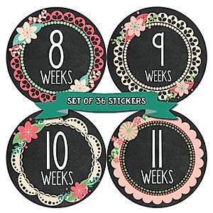 Months In Motion Pregnancy Weekly Belly Growth Stickers - Week to Week Pregnant Expecting Photo Prop - Maternity Keepsake - Baby Bump - Large Set of 36 Weekly Photo Sticker