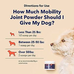 Honest Paws Mobility Hip and Joint Supplement for Dogs - Enhance Bone Health Lubricate Joints - Green Lipped Mussel, Glucosamine, Fish Oil, Chondroitin Sulfate, MSM, Vitamin C with Natural Flavors