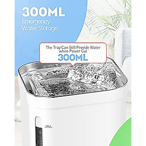 Petnimal Cat Water Fountain, 74oz/2.2L 304 Stainless Steel Cat Fountain Water Bowl with Water Level, Quiet Automatic Pet Water Fountain with Silicone Mat, Pet Fountain for Cats Dogs Multiple Pets