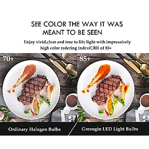 Greeogin Dimmable T6 E12 LED Edison Bulbs,4W Equal 40W Candelabra Incandescent Bulbs, Clear Vintage T25 Tube Light Bulbs for Ceiling Fan, Pendant, Wall scones 12Pack