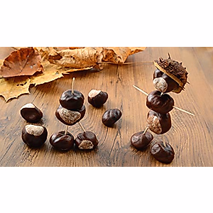 Makerstep 100% Natural Bamboo Toothpicks 1000 Pieces, Sturdy Cocktail Safe Large Round Storage Box Party Appetizer Olive Barbecue Fruit Teeth Cleaning Art Crafts