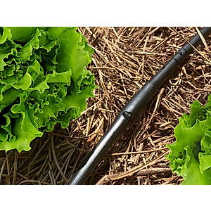 Habitech 1/4" Irrigation Dripline Tubing (100 Ft Roll) - 6" Emitter Spacing - 1/4" Drip Irrigation Fittings Included