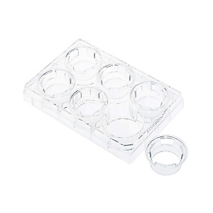 Permeable Cell Culture Inserts, Packed in 6 Well Plate, Hanging, PET, 8.0µm, Sterile