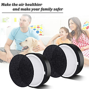 I clean LV-132 Filters,2Packs Replacment Filter Compatible with LEVOIT LV-H132 RF