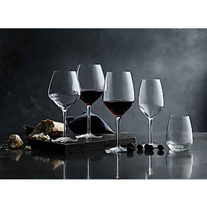 Luigi Bormioli Atelier Barolo Wine Glass, 27-Ounce, Set of 6