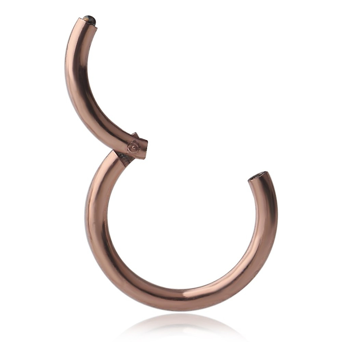 Ruifan 1PC Stainless Steel Hinged Seamless Segment Hoop Septum Clicker Ring Lip Helix Tragus Cartilage Earrings Nose Rings Pirecing 14g 8mm Rose Gold