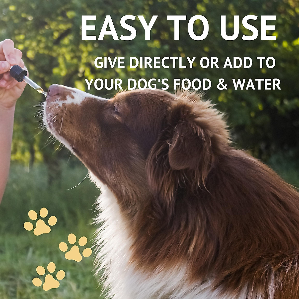 ShelterBaby Calming Herbal Extract for Dogs, dark brown