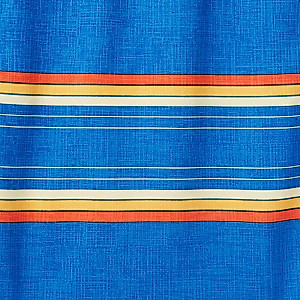 Speedo Mens Hydro Volley Swim Shorts (Speedo Blue Stripe, Large 34/36)