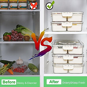 Snackle Box Container Snack Divided Serving Tray With Lid And Handle Trays Picnic Containers Snackel Organizer Boxes Fruit Travel for Party 8 Compartment Snackle box Snacks Dry (Pack of 2)