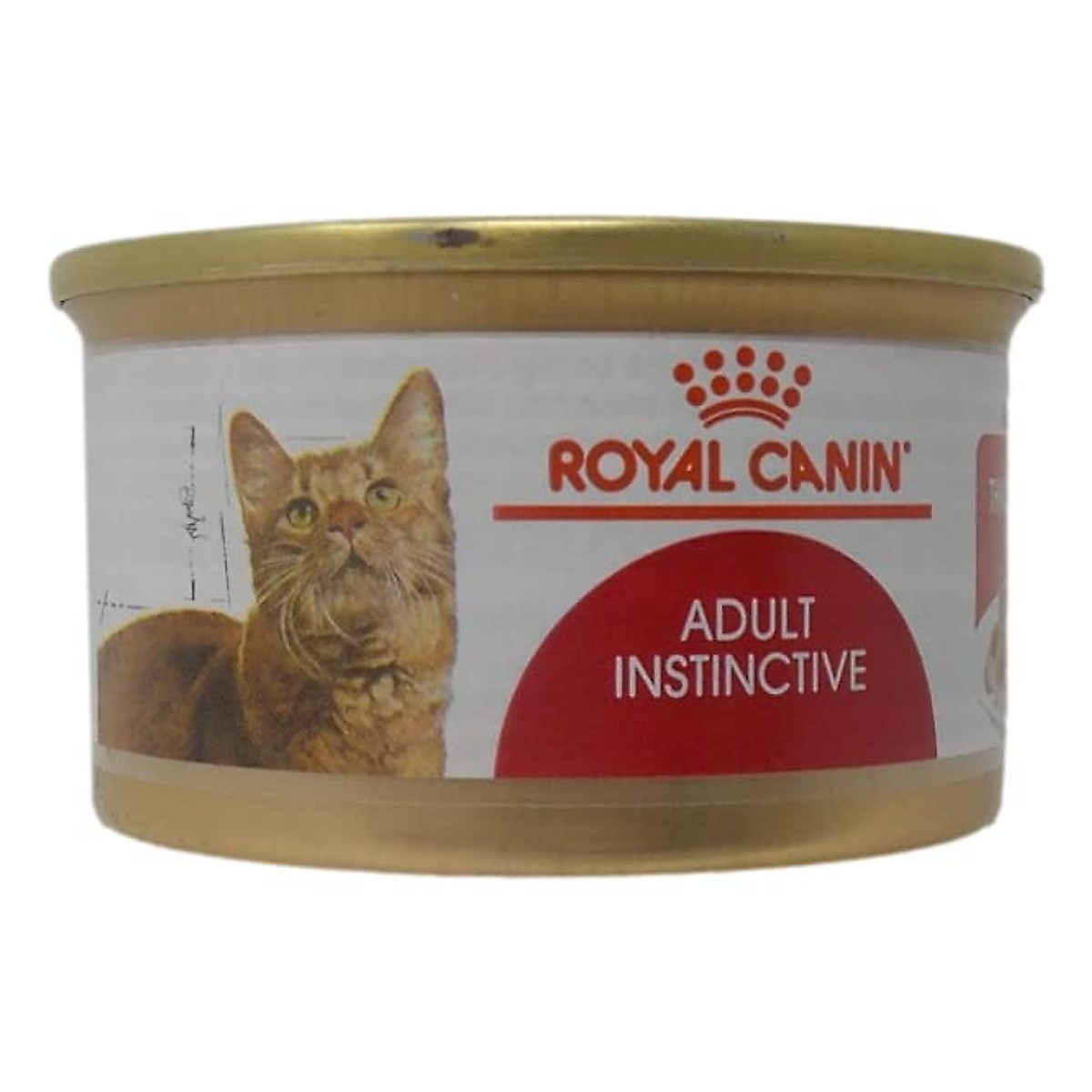 Royal Canin Slices in Gravy Cat Food 2 Flavor 6 Can Sampler, (3) Each: Adult Instinctive, Intense Beauty (3 Ounces) - Plus Catnip Toy and Fun Facts Booklet Bundle