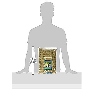 Rainforest Exotics Canary & Finch Bird Food, 4 lbs Bag - Seed Mix for Canaries and Finches