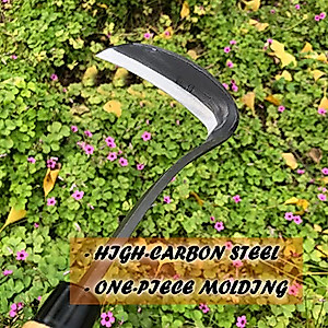 SHANFEEK Japanese Weeding Sickle Hoe Gardening Tools 13-Inch Weed Remover Tool High-Carbon Steel One-Piece Molding with Hard Solid Wood Handle(Snake-Necked)