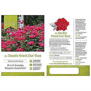 Root 98 Warehouse Knockout Double Red Rose, 1g