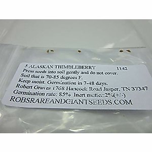 1142-Alaska Thimble Berry (Rubus parviflorus) Seeds by Robsrareandgiantseeds UPC0764425787679 Bonsai,Non-GMO,Organic,Historic Plants,Sacred, 1142 Package of 5 Seeds