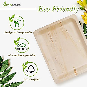 Birchware 50 - Large Compostable Wooden Platter, Party and Craft Supplies