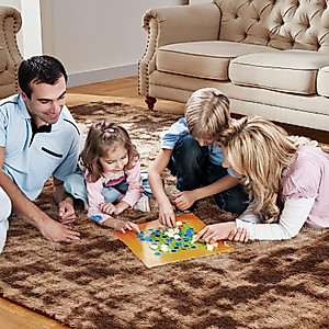 8x10 Feet Shag Area Rugs, Large Shag Fluffy Bedroom Carpet, Soft Rugs for Nursery, Furry Rugs for Girls Boys Kids Room, Extra Large Fuzzy Rug, Shag Carpet, Brown Tie-Dye