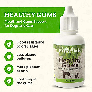 Animal Essentials Healthy Gums for Dogs & Cats - Dental Care, Mouth & Gum Support, Dental Drops, All Natural Pet Supplement, Oral Care - 1 Fl Oz