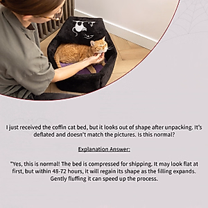 Littlesy Gothic Cat Bed with Purple Cushion - Coffin Cat Bed Ideal as Halloween Cat Bed, Perfect Goth Cat Bed in Black and Purple for Gothic-Themed Homes