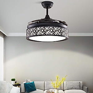 Fandian 42In Modern Ceiling Fan with Lights Remote Control Chandelier Lighting Fixtures Silent Retractable Blades, 3 Light Colors, Black Bird Nest Fandelier for Living Room, Bedroom