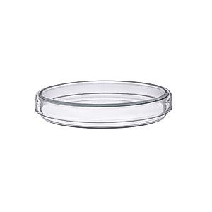 EISCO Petri Dish, 3.93" (100mm) - Beaded Edges Easy to Sterilize for Repeated Use Borosilicate Glass- Eisco Labs