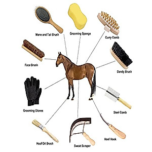 Ueemph Horse Grooming Kit,10-Piece, Black Storage Bag,Horse Brushes Set,Horse Sweat Scraper,Mane Comb,Horse Grooming Gloves,100% Horsehair Brush,Horse Gifts for Girls