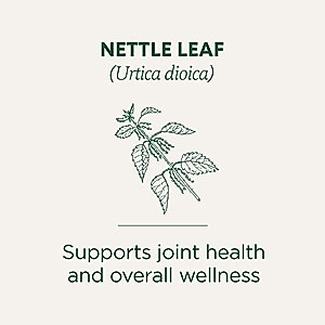 Traditional Medicinals Organic Nettle Leaf Herbal Tea, Supports Joint Health & Overall Wellness, (Pack of 1) - 16 Tea Bags