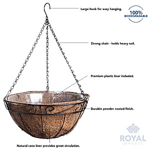 Royal Imports Metal Hanging Planter Flower Basket with Coco Coir Liners 13" Round Wire Outdoor Porch Balcony Garden Décor, Set of 2