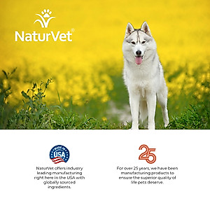 NaturVet – Hemp Deodorizing Shampoo for Dogs - Plus Oatmeal & Honey – 16 oz – Gently Cleanses & Deodorizes Skin & Coat – Enhanced with Hemp Seed Oil, Coconut Oil & Aloe Vera Extract
