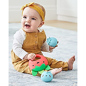 Skip Hop Baby Musical Toy Set, Farmstand, Berry Cute Band