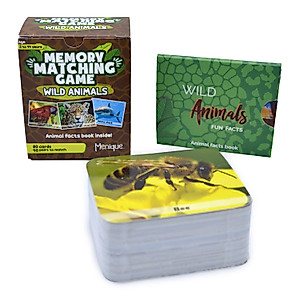 Menique, Wild Animals, Memory Matching Game