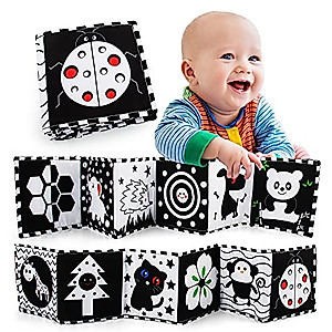 teytoy Black and White High Contrast Sensory Baby Toys Baby Soft Book for Early Education, Infant Tummy Time Toys, Three-Dimensional Can Be Bitten and Tear Not Rotten Paper Newborn Toys (Ladybug)