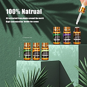 Wtrcsv Essential Oils Set- 6 Aromatherapy Oils -Perfect for Diffuser, Humidifier,Aromatherapy, Candle Making, Massage-Peppermint, Tea Tree, Lavender, Eucalyptus, Lemongrass, Sweet Orange（5ml）