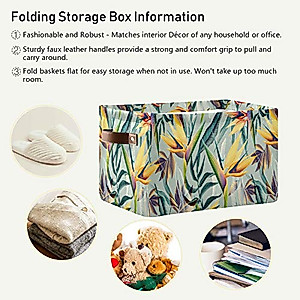 Storage Basket Cube Tropical Palm Flower Leaves Large Collapsible Toys Storage Box Bin Laundry Organizer for Closet Shelf Nursery Kids Bedroom,15x11x9.5 in,2 Pack
