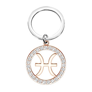 TGBJE Zodiac constellation Keychain Zodiac Sign Gift Zodiac Outline Gift Horoscope Constellation Celestial Zodiac Keychain (RG Pisces)