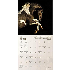 Spirit Horses 2021 Calendar